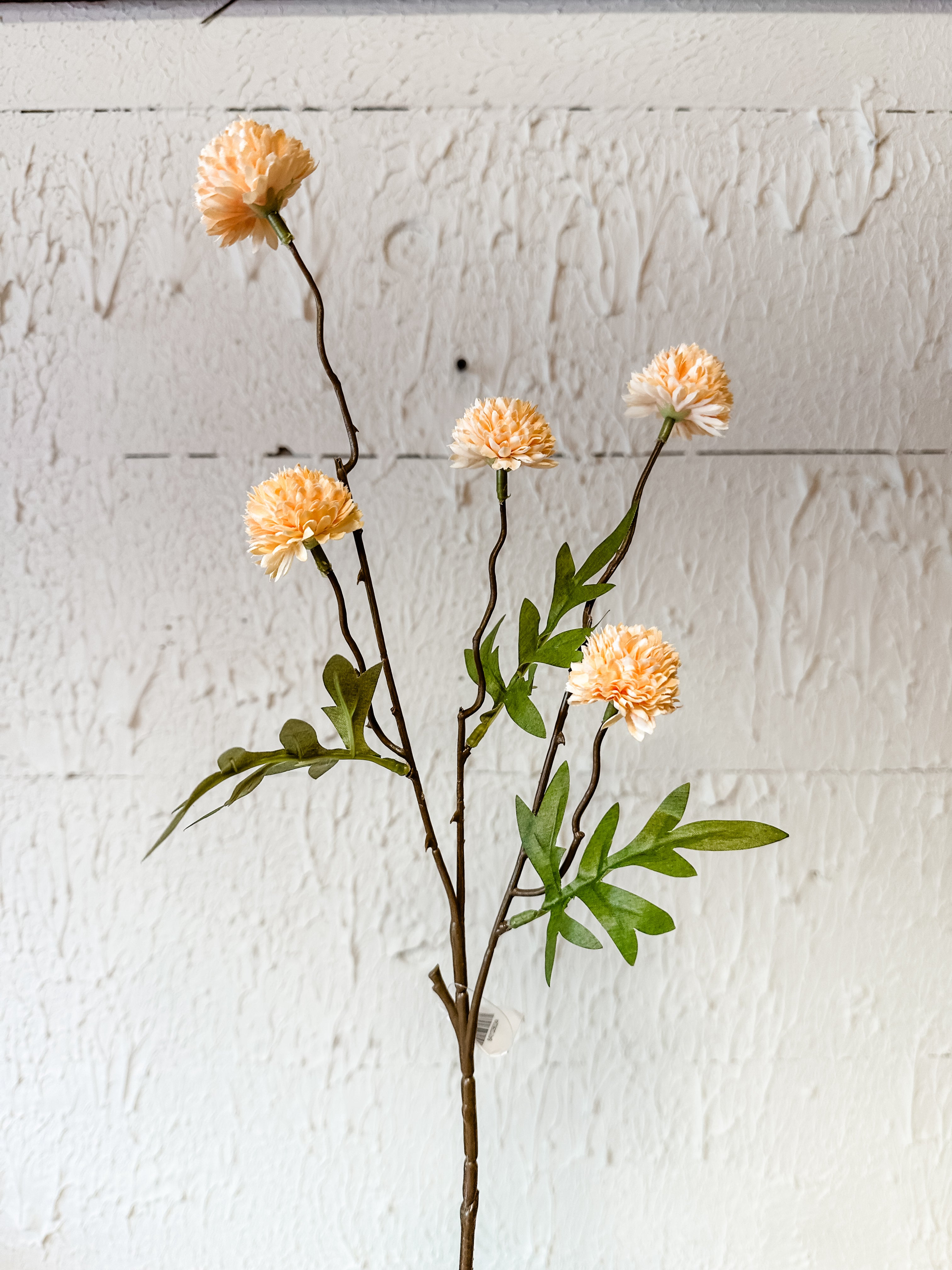Peach Color Onion Spray – The Rustic Barn